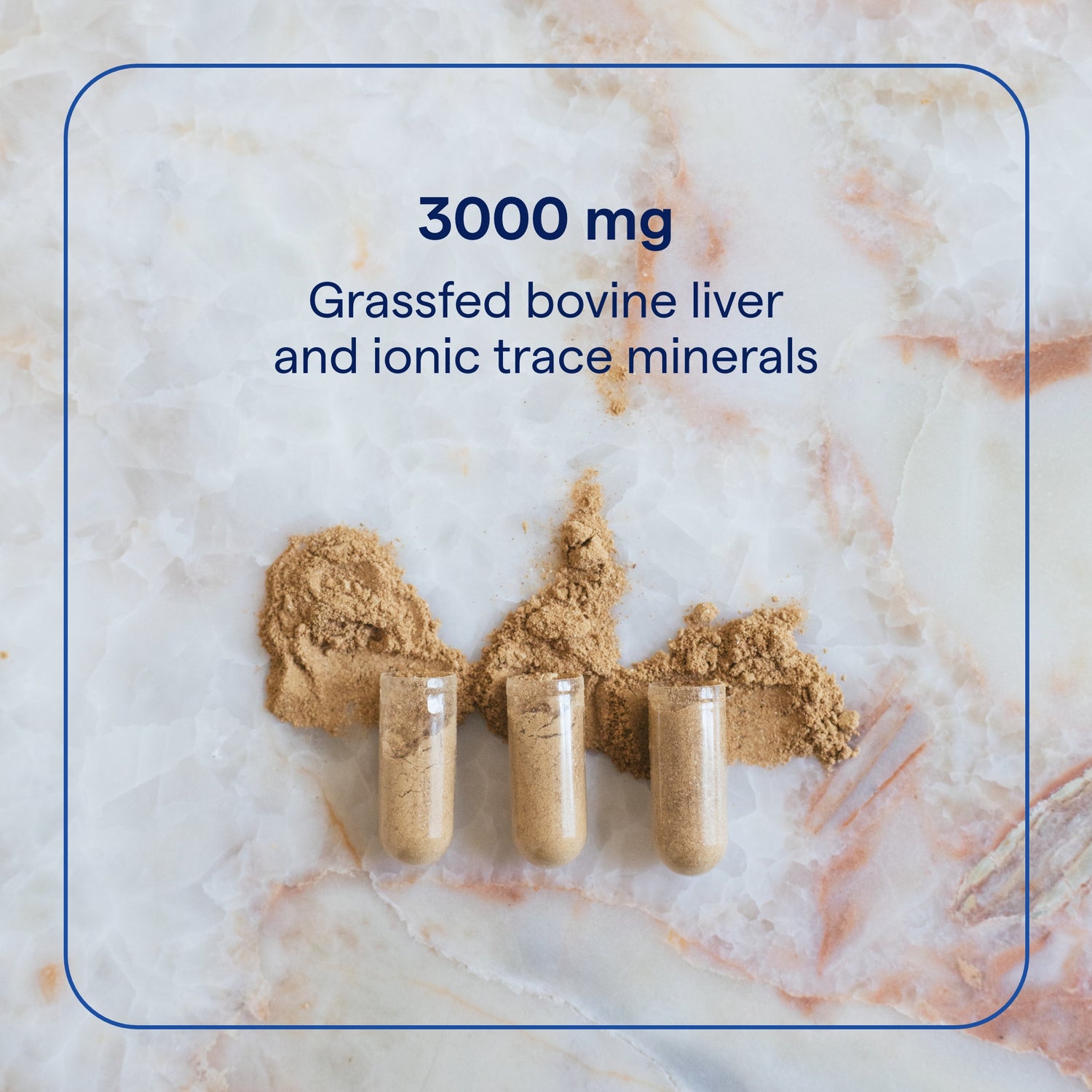 Capsule Beef Liver Supplement | Trace Minerals