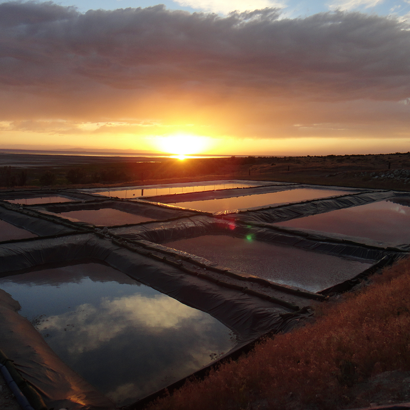 Science Behind Our Products | Trace Minerals