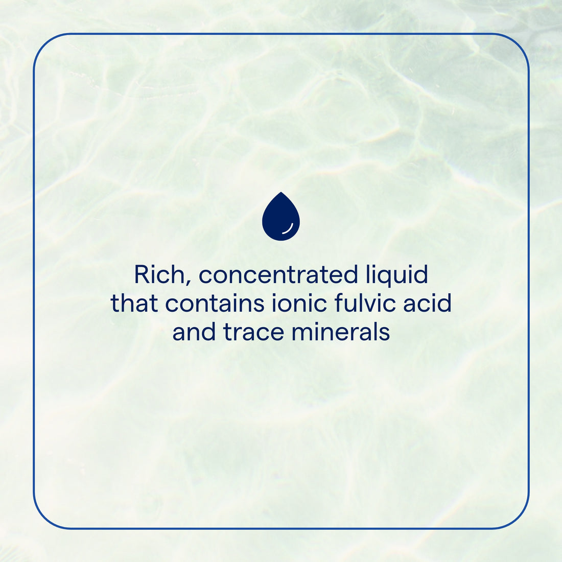 Boost Nutrient Absorption With Ionic Fulvic Acid - Trace Minerals