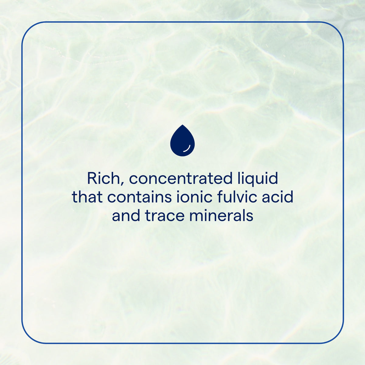 Boost Nutrient Absorption With Ionic Fulvic Acid - Trace Minerals