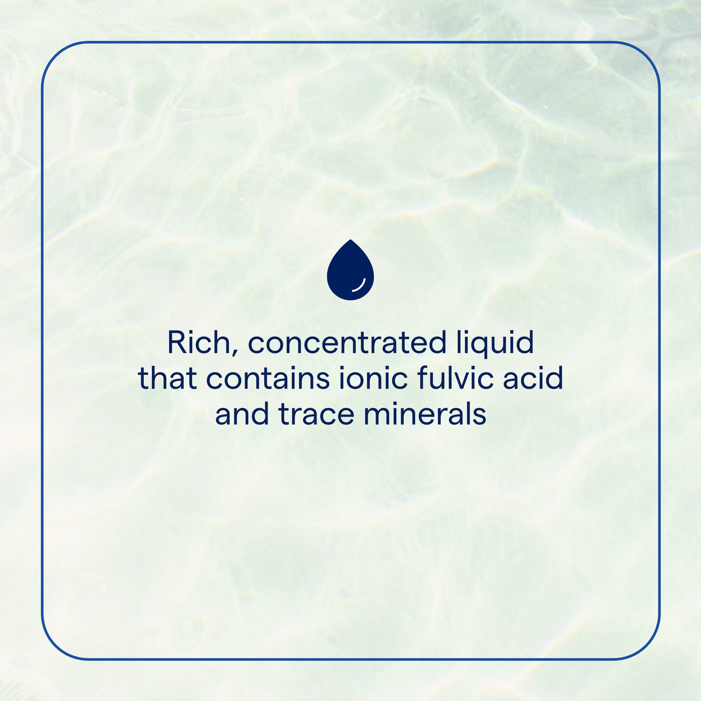 Boost Nutrient Absorption With Ionic Fulvic Acid - Trace Minerals