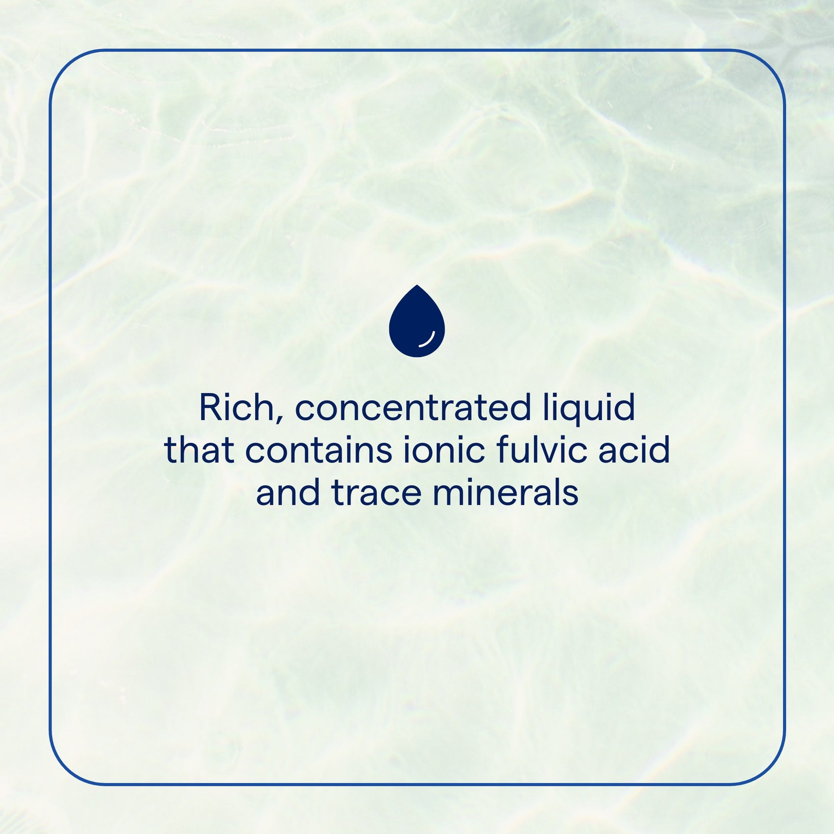 Boost Nutrient Absorption With Ionic Fulvic Acid - Trace Minerals